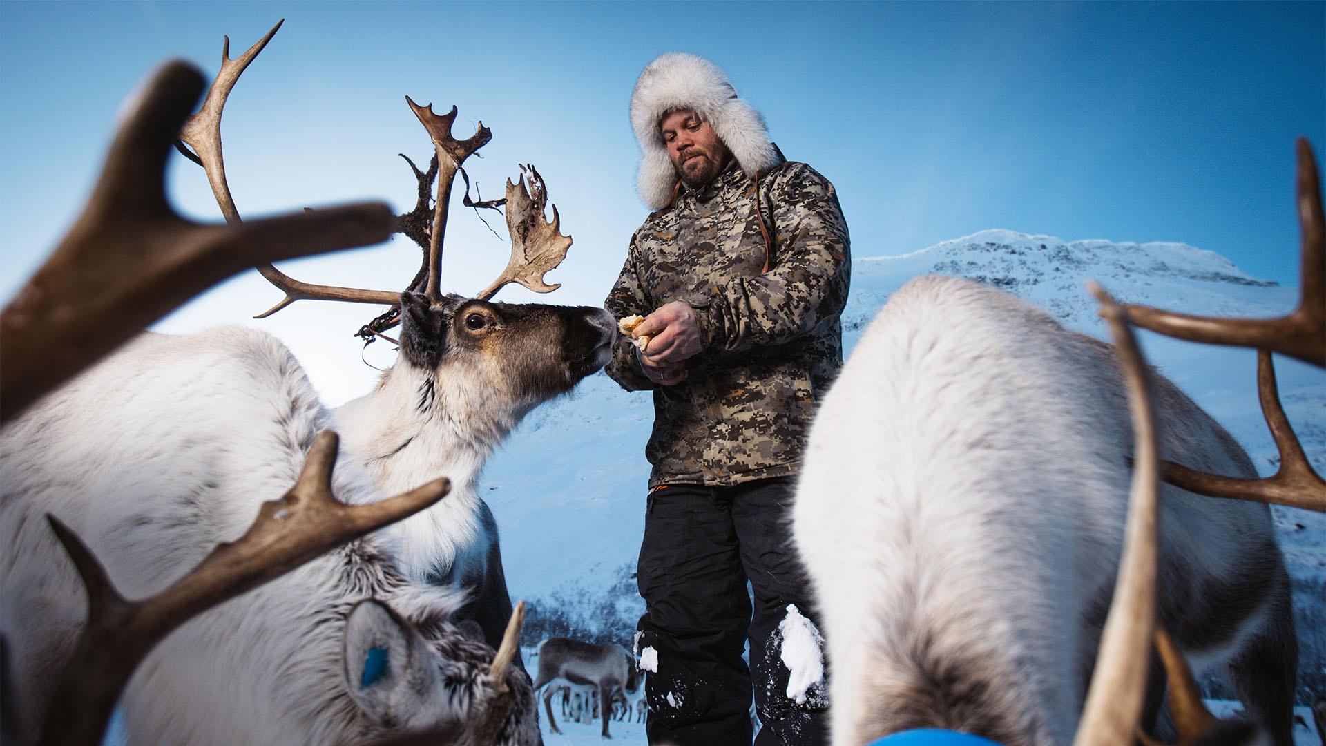 Preserving the Tundra with Reindeer | Evolution Earth | THIRTEEN - New ...