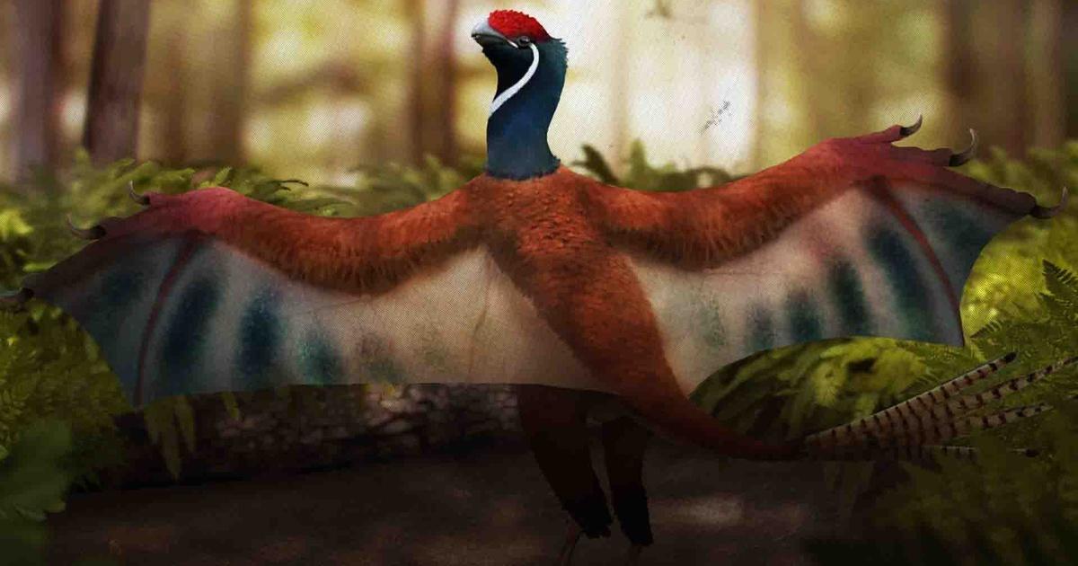 Eons | It's Becoming Very Clear That Birds Are Not Normal | Season 5 ...