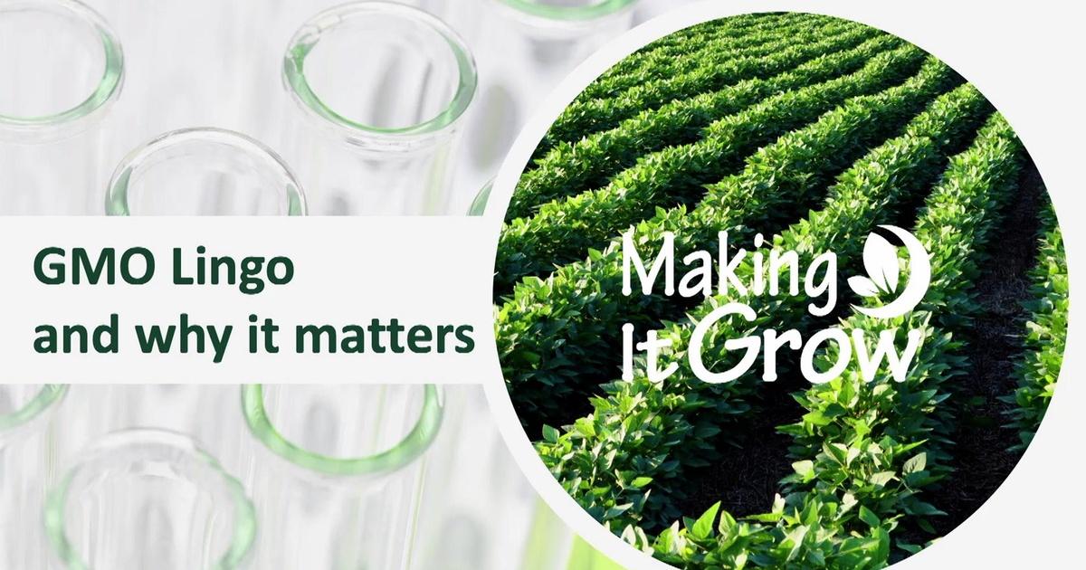 Making It Grow | October 13, 2020 | PBS