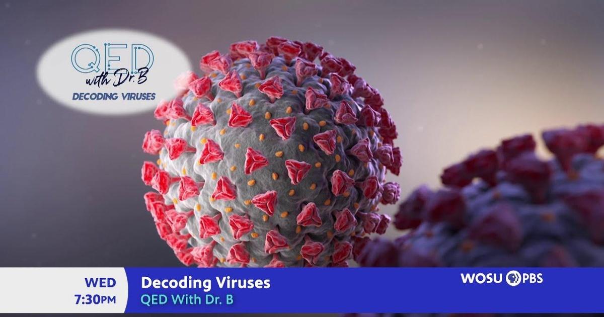 QED With Dr. B | Decoding Viruses Preview | Season 1 | Episode 3 | PBS