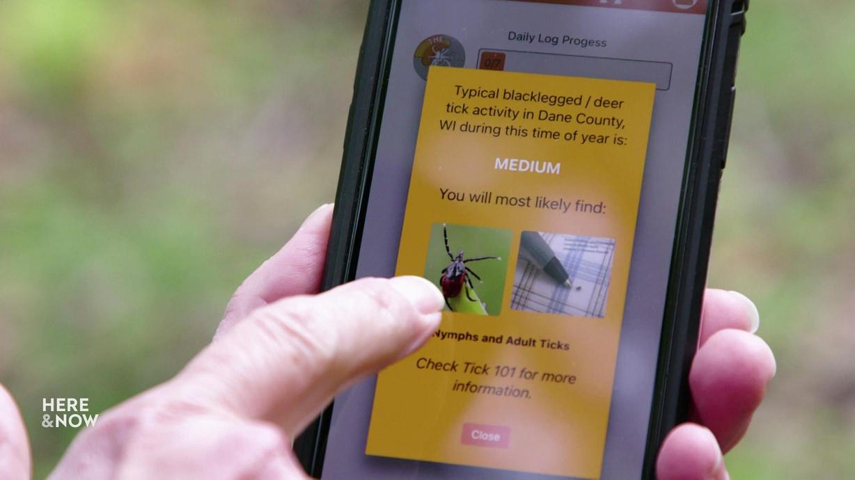 Earlier spring start for deer tick nymphs spurs Lyme disease