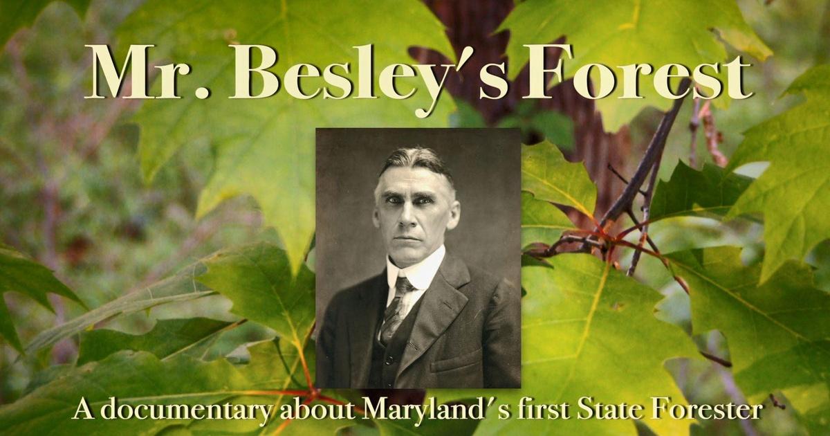 MPT Presents | Mr. Besley's Forest | PBS