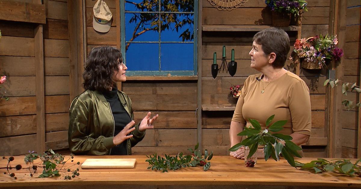 Virginia Home Grown | Native Plants for the Landscape | Season 23 ...