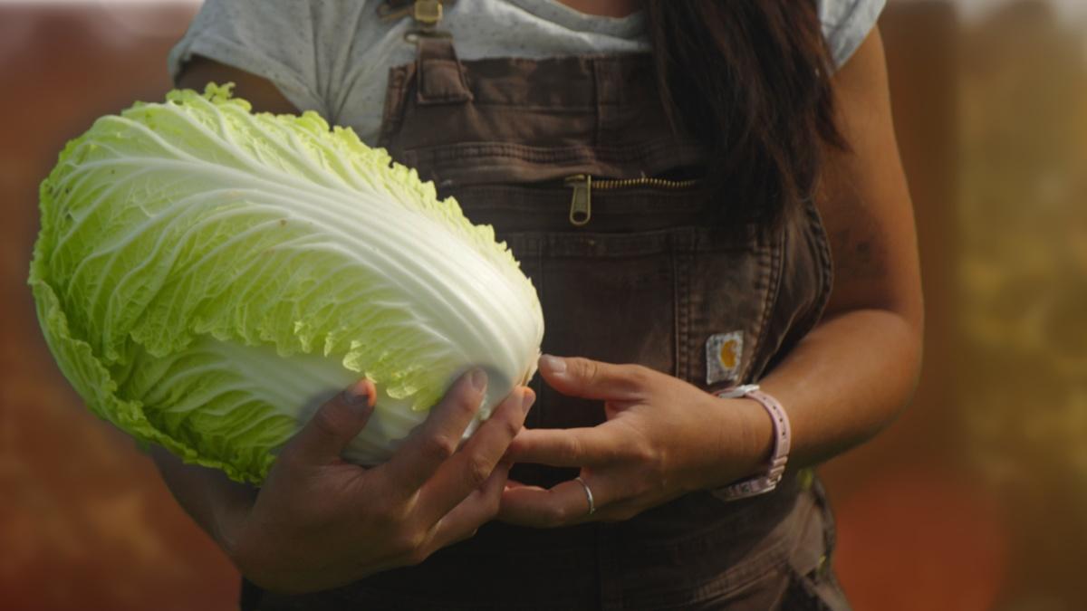 The Vegetables 99% of American Farms Refuse to Grow | Women of the ...