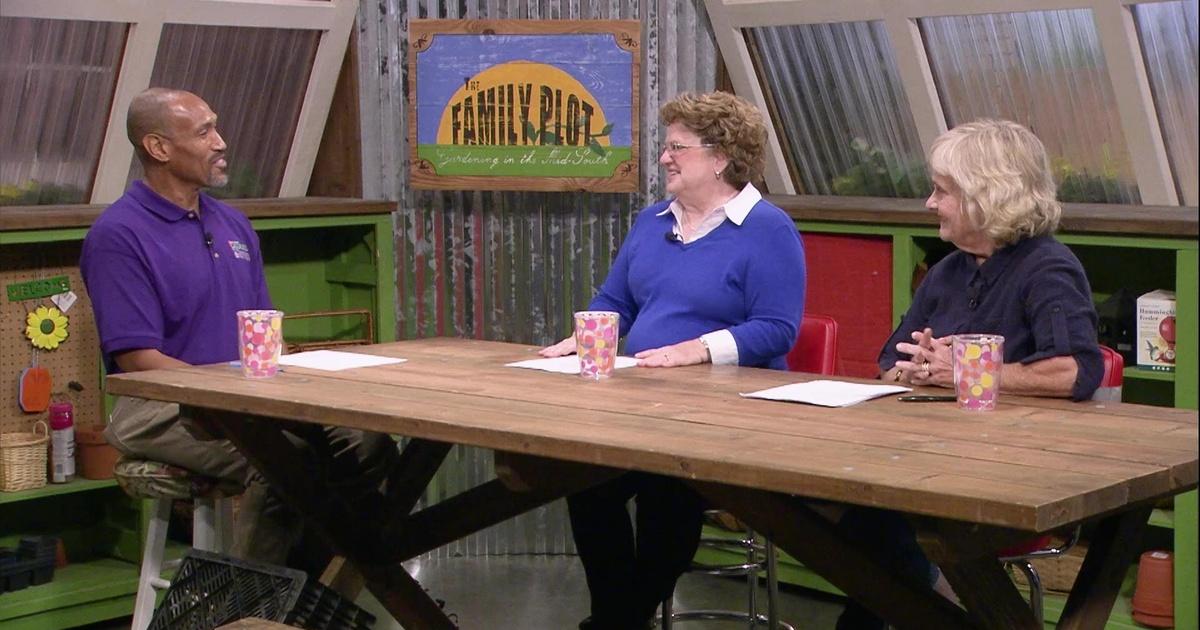 The Family Plot | Tool Sanitation & Pre-Emergents | Season 13 | Episode ...