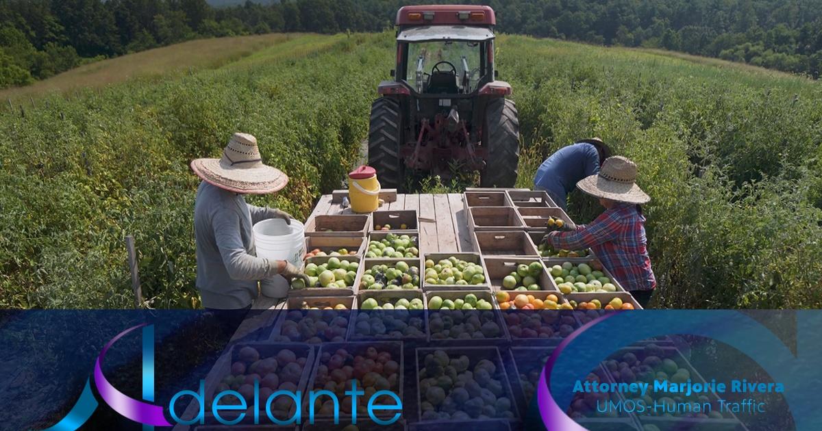 Adelante | Marjorie Rivera UMOS | Season 27 | PBS