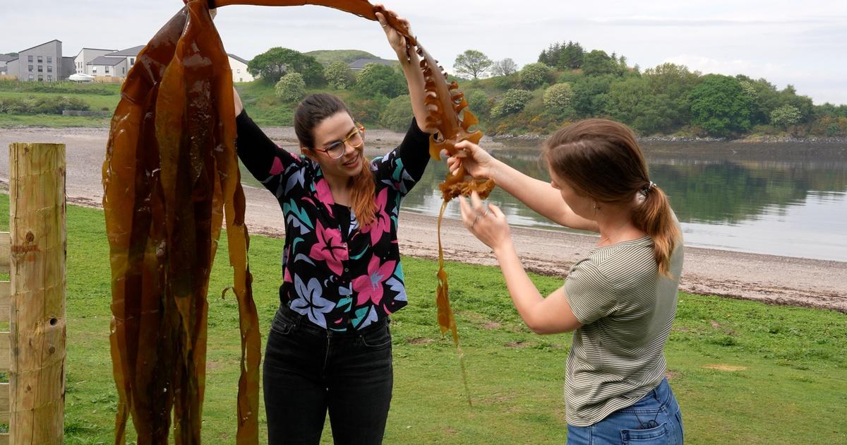 Fascinating Fails | How a Kitchen Mishap Changed Science Forever | Episode 7 | PBS