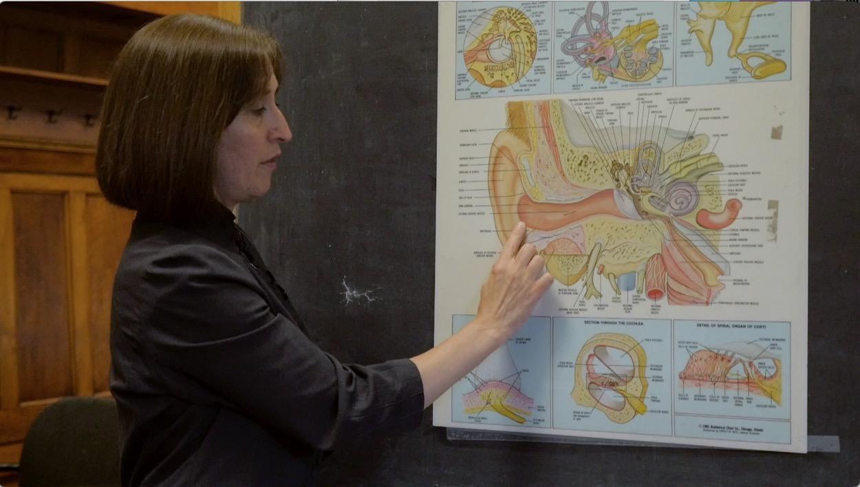 Hearing Loss Matters - Anatomy and Screening - Twin Cities PBS