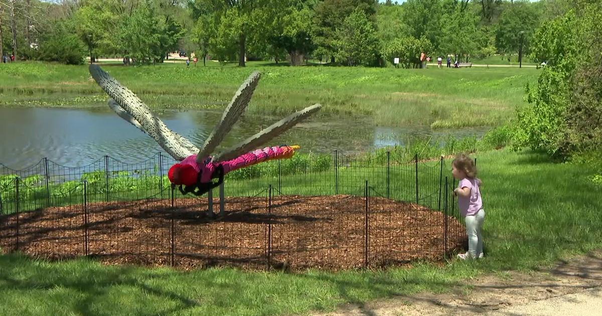 Chicago Tonight | Morton Arboretum Builds Connections to Nature, Brick ...