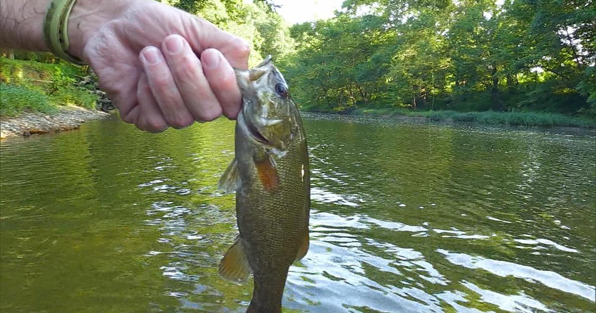 Kentucky Afield | Kayak Fishing; Barren River Bass; FINs Lakes | Season ...