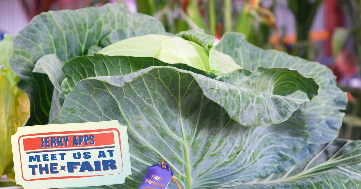 Jerry Apps | Fair play in the cabbage competition | PBS