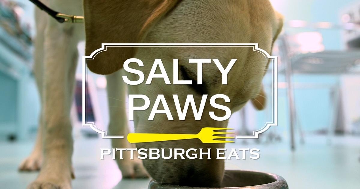 More Local Stories | Salty Paws | Season 2022 | PBS