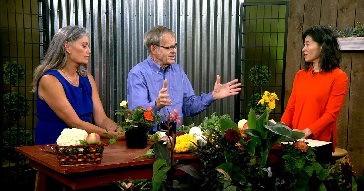 Great Gardening | PBS