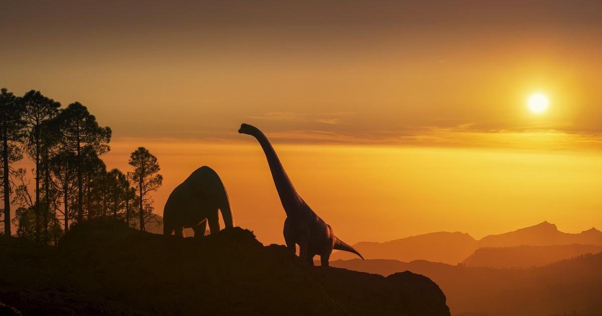 Walking with Dinosaurs | Episode 6 Preview | PBS