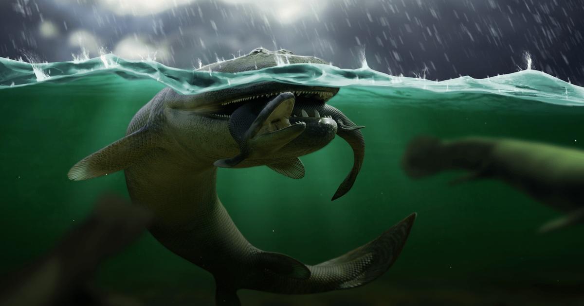 Eons | Our Ancient Relative That Said 'No Thanks' To Life On Land ...