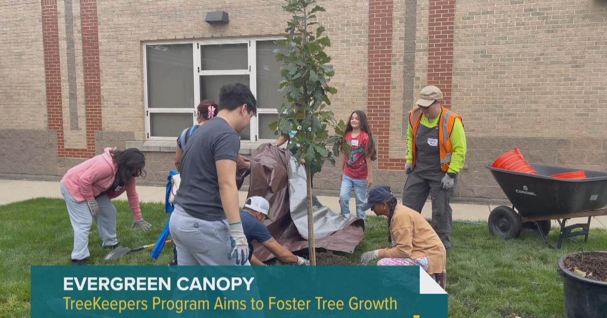 Chicago Tonight: Latino Voices | TreeKeeper Program Connects Spanish Speakers to Nature | Season ...
