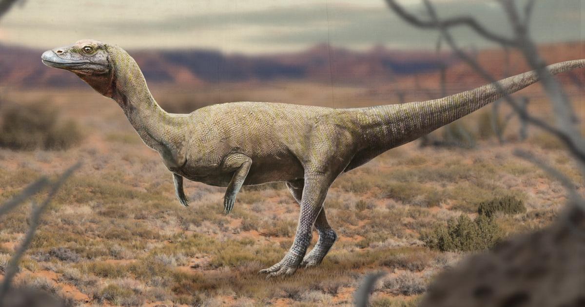 Eons | When Dinosaur Look-Alikes Ruled the Earth | Season 3 | Episode 9 ...