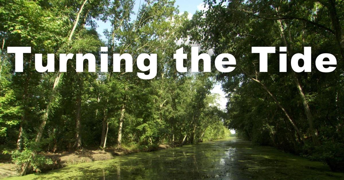 Turning the Tide | PBS