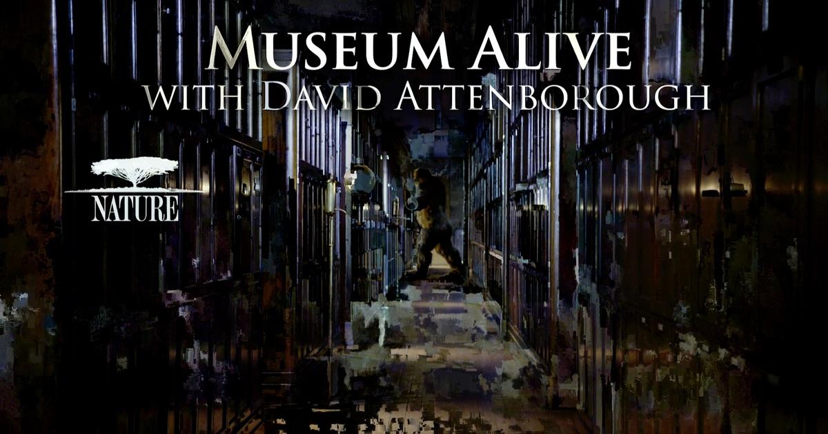 WTVP Spots | Trailer | NAAT #4309 | Museum Alive with David ...