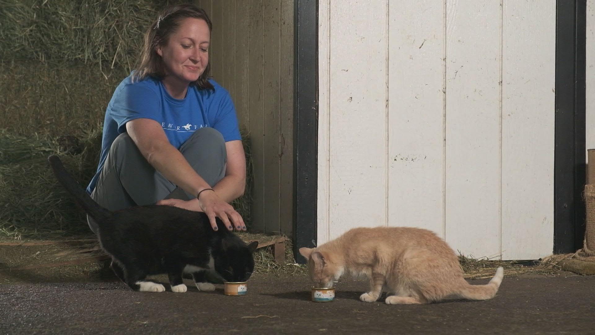 STEM Camp, Putting Paws to Work, Falls of the Ohio, and More | Kentucky Life