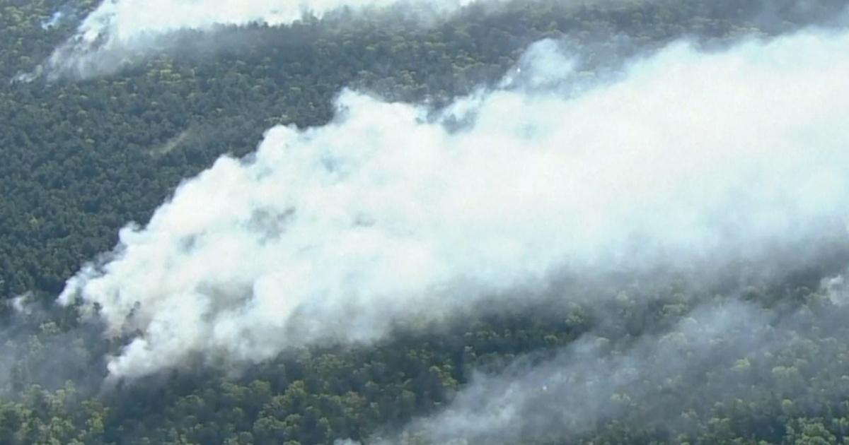 NJ Spotlight News | South Jersey forest fire now fully contained ...