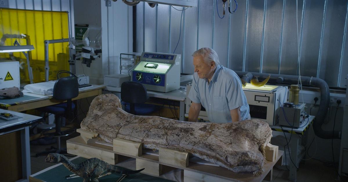 Nature | Museum Alive with David Attenborough | Season 43 | Episode 9 | PBS