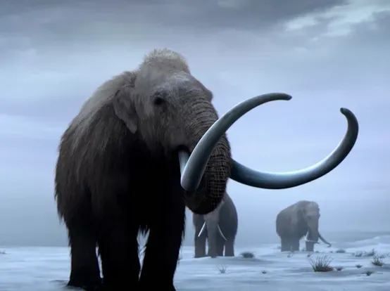 NOVA | Great Mammoth Mystery | Season 49 | Episode 3 | PBS