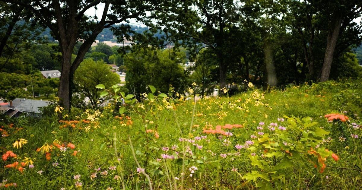 The Prairie Preacher: Preserving Appalachia’s Grasslands | What types ...