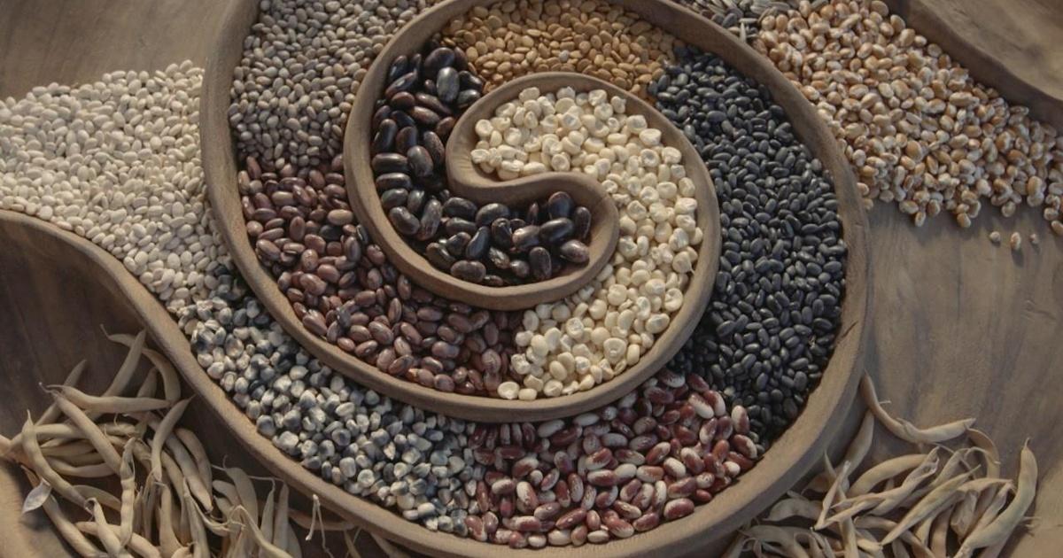 Tending Nature | Native Foodways with the Cultural Conservancy (Preview ...