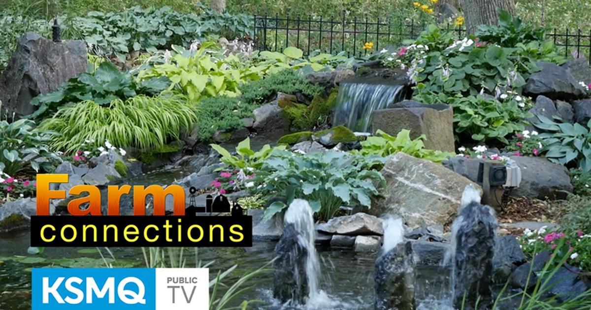 Farm Connections | Farm Connections 1607: Hosta Gardening, MN Dairy ...