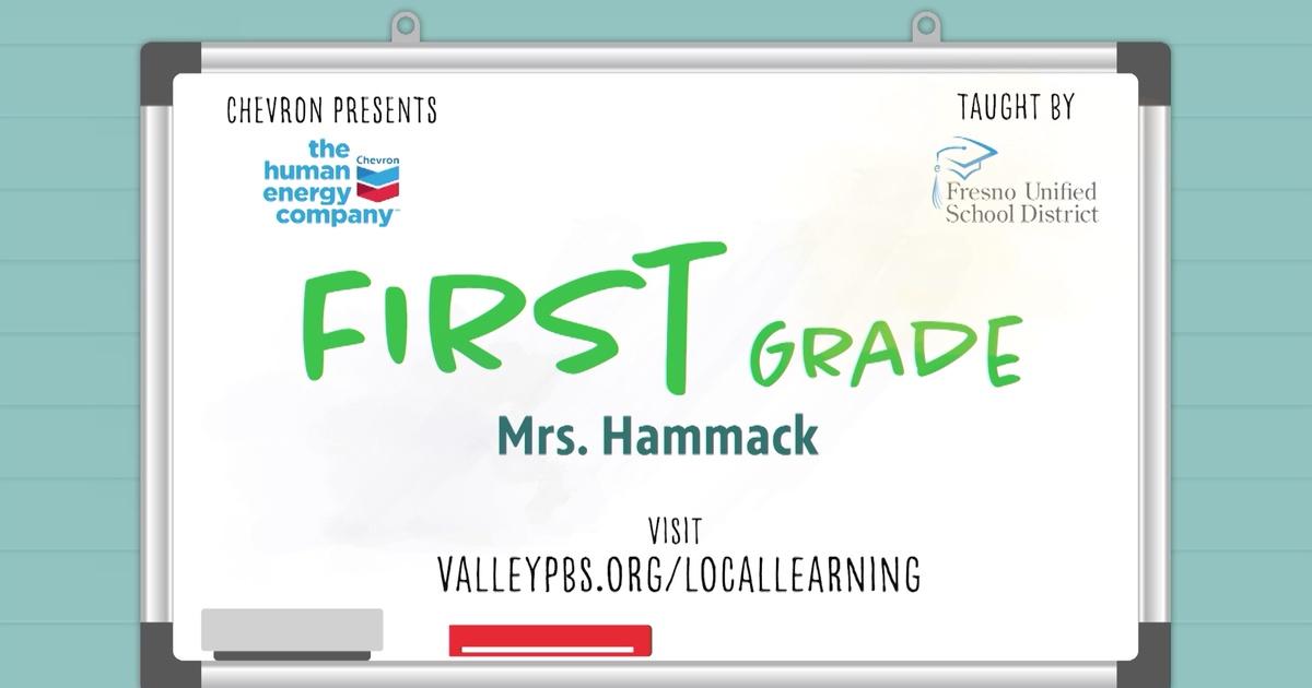 Reading Explorers | Season 1 | 1st Grade Mrs. Hammack Episode 121 | PBS