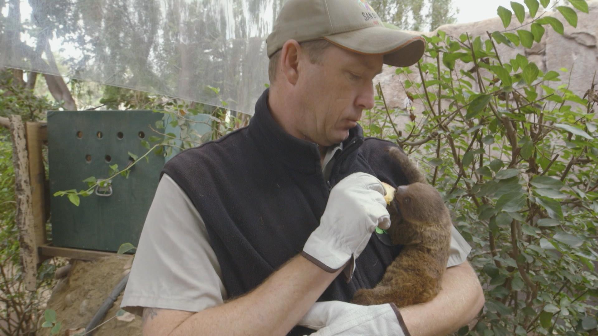 Sloth Baby | Camp TV | NJ PBS