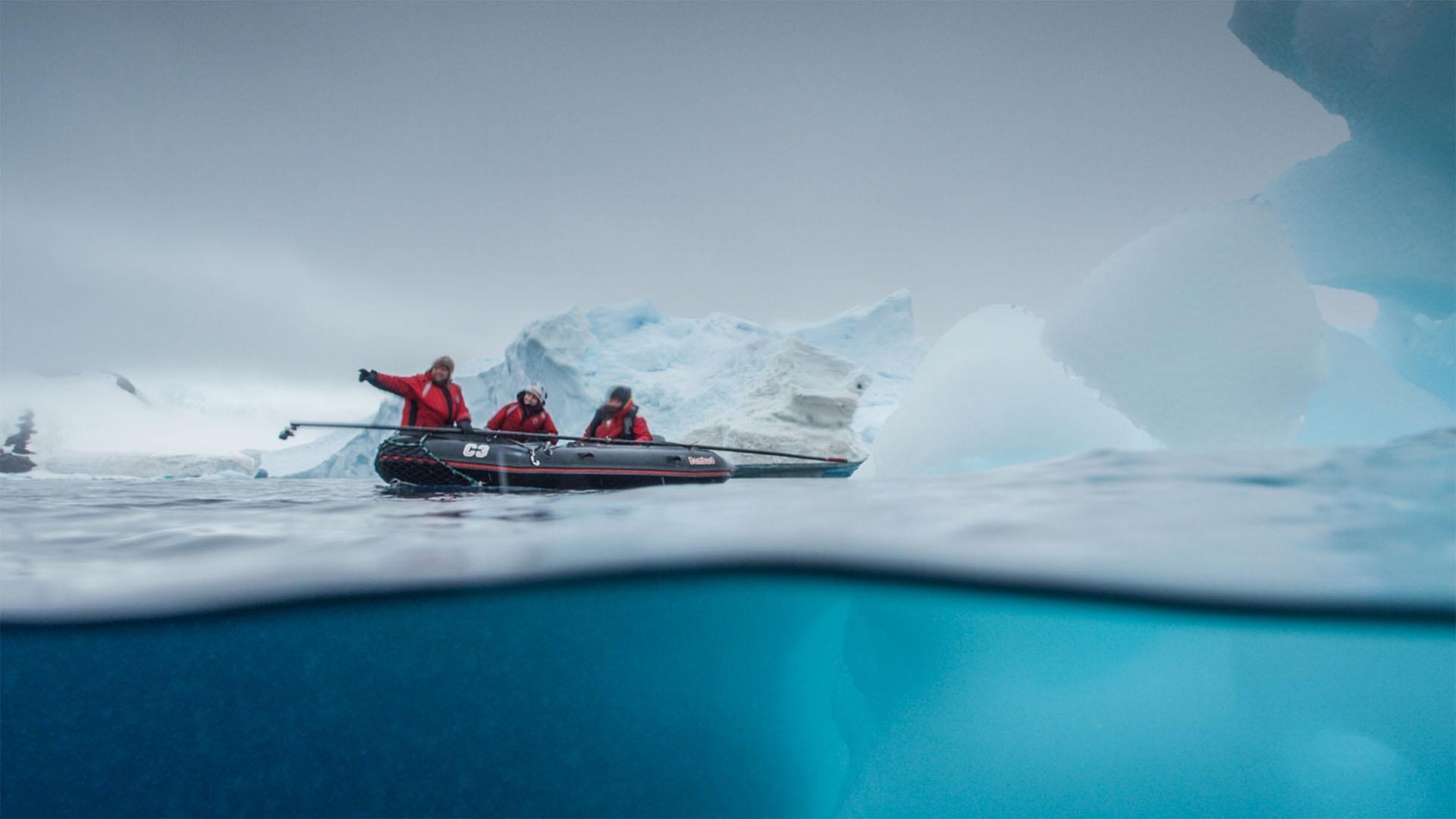 Humpback Whale Tagging | Dynamic Planet | THIRTEEN - New York Public Media