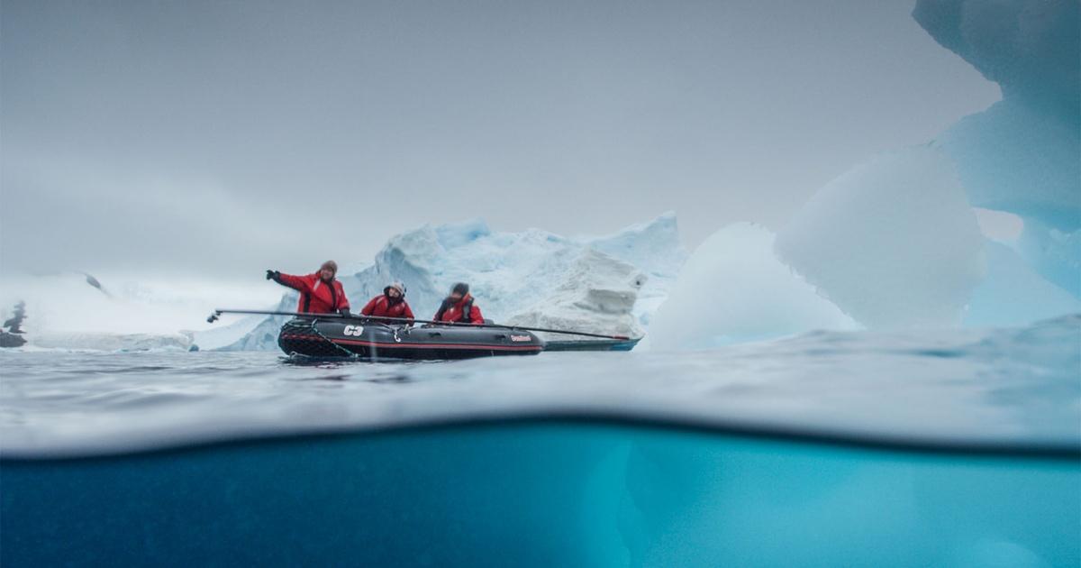 Dynamic Planet | Humpback Whale Tagging | Episode 1 | PBS