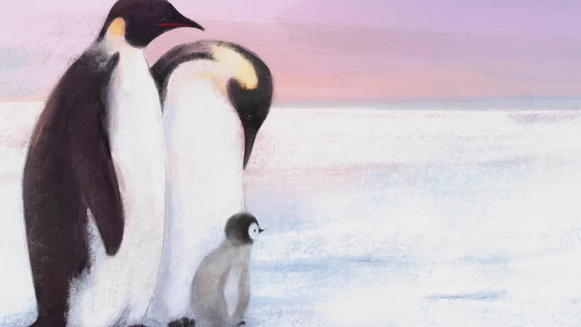 Penguin Day | Camp TV | THIRTEEN - New York Public Media