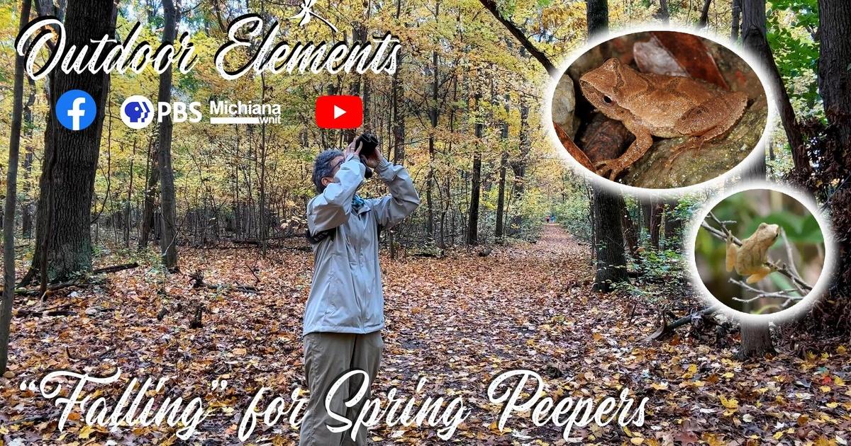 Outdoor Elements | Falling for Spring Peepers | PBS