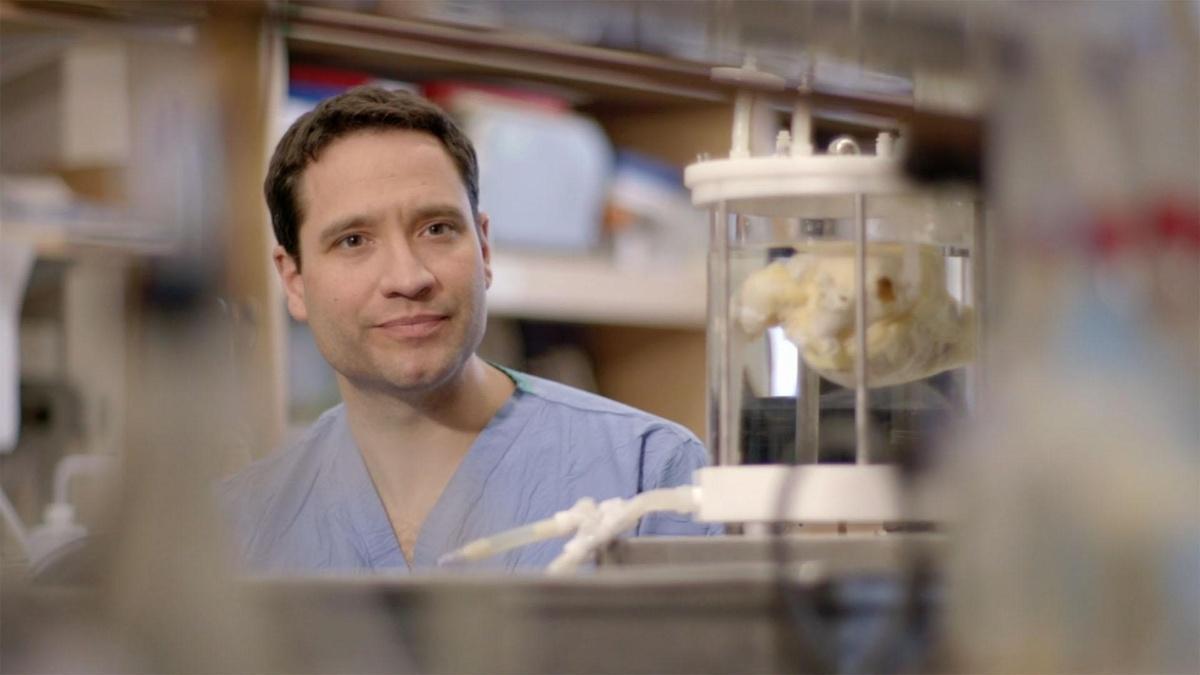 Building a Heart | The Amazing Human Body | NJ PBS