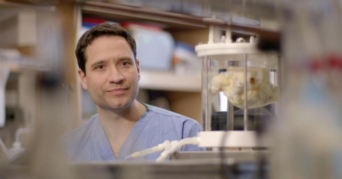 The Amazing Human Body | Building a Heart | PBS