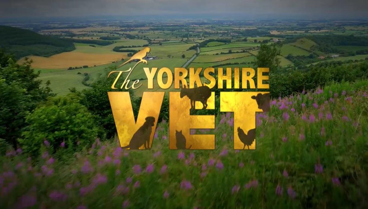 Season 1 Episode 1 Watch On Pbs Wisconsin