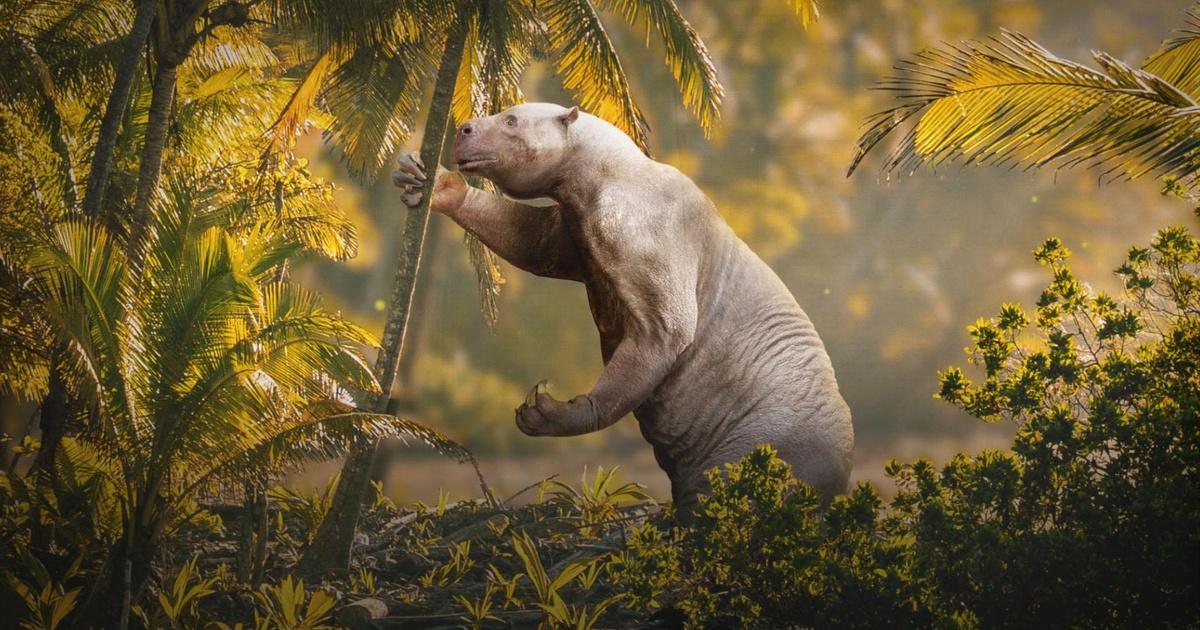 Eons | We Can't Remember What Giant Sloths Were Like | Season 8 ...