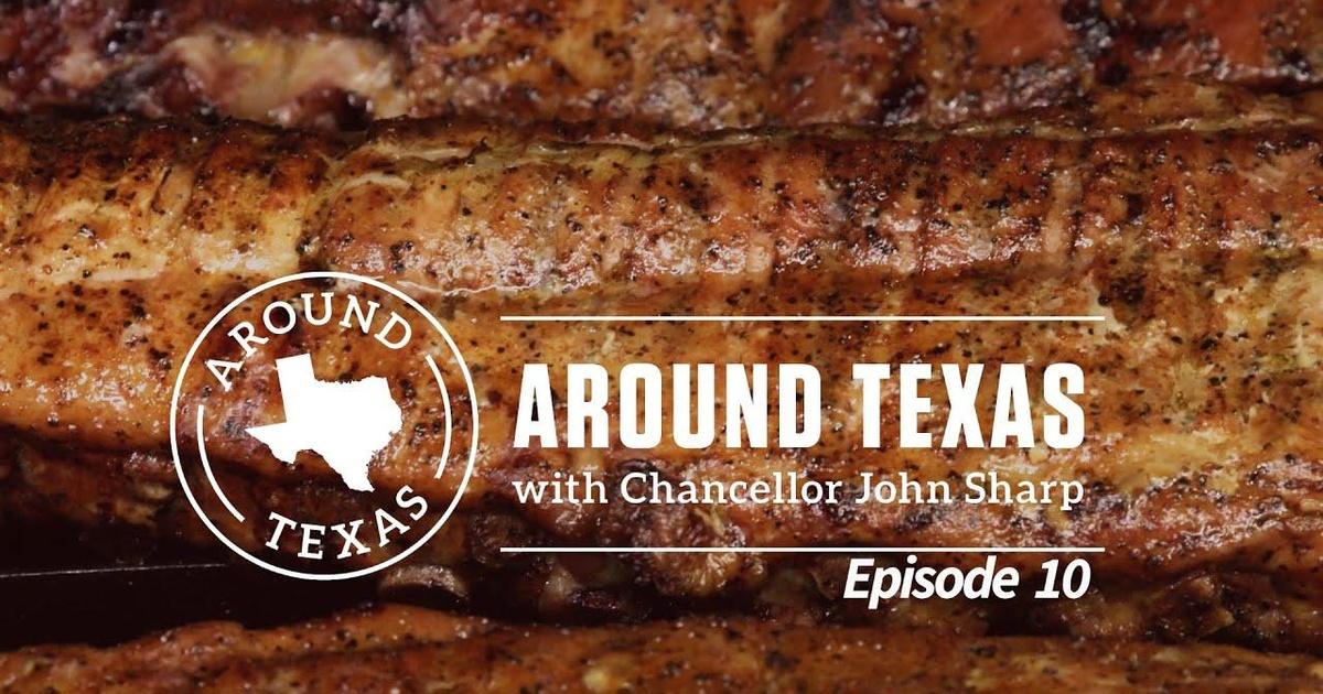 Around Texas With John Sharp | Veterinary Medicine & The Art and ...