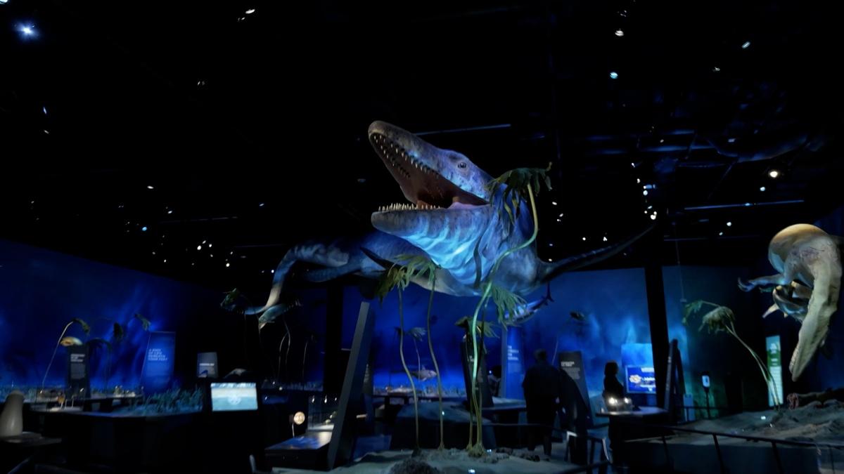 Edelman Fossil Park & Museum: Architecture As Metaphor | State of the ...