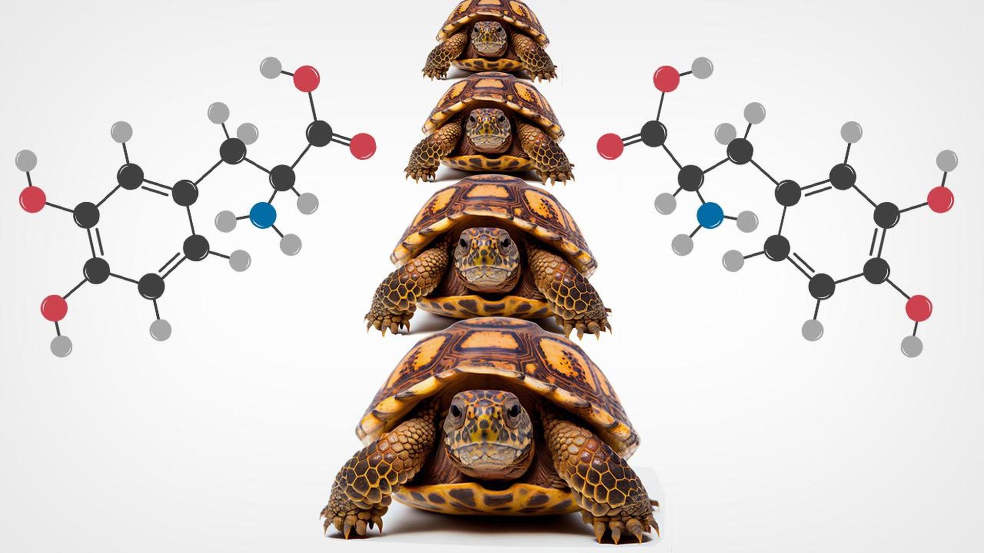 Chirality is Just Turtles All the Way Down | Reactions | ALL ARTS