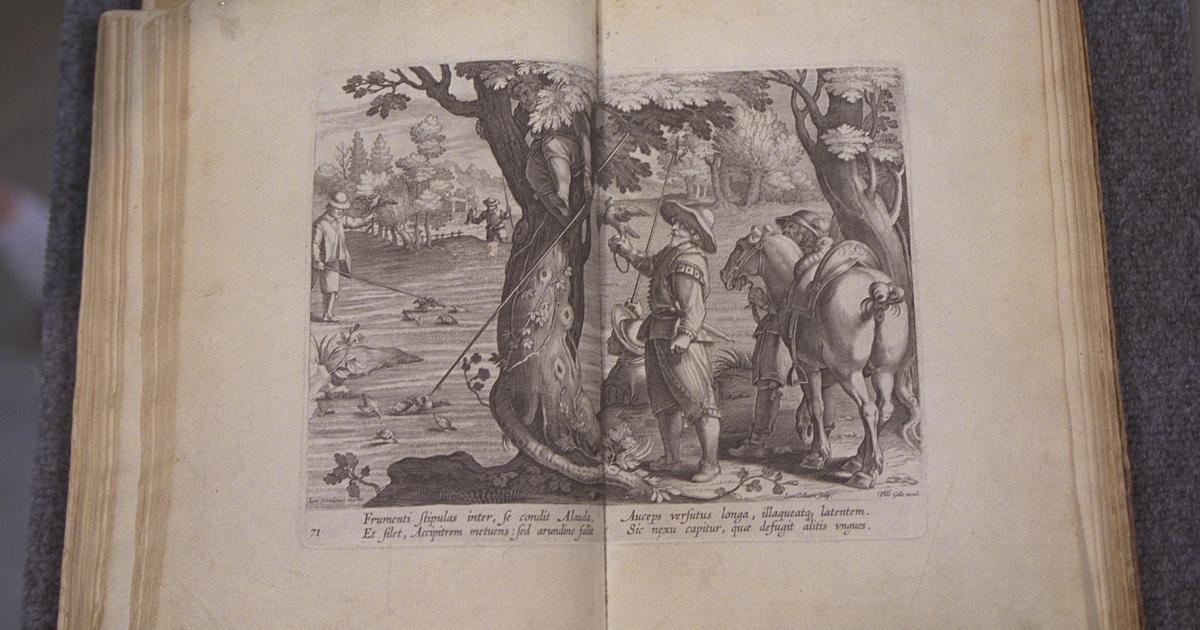 Antiques Roadshow | Appraisal: 1578 Johannes Stradanus Book of Prints ...