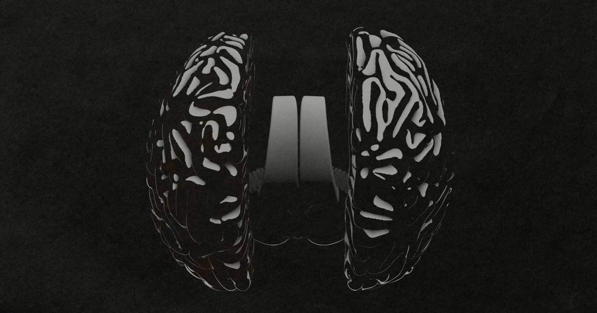 NOVA | Is the Human Brain Actually Two Minds? | Season 50 | Episode 9 | PBS