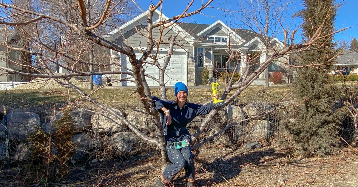 Modern Gardener | How to Prune a Peach Tree | Episode 92 | PBS