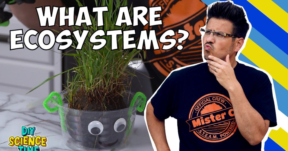 DIY Science Time | Ecosystems | Season 2 | Episode 11 | PBS