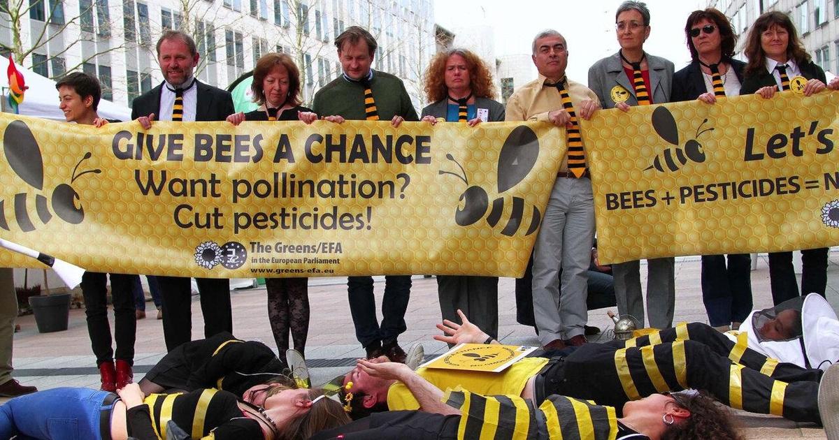 Earth Focus | Saving America's Pollinators | PBS