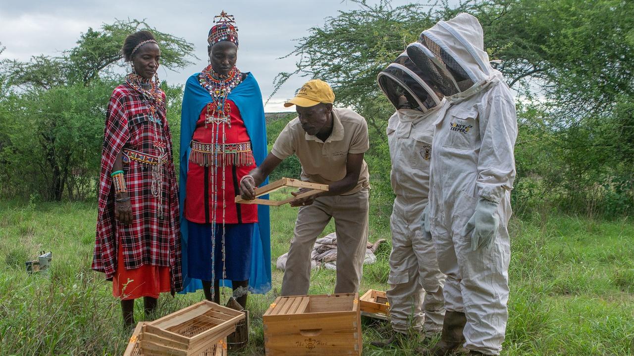 Changing Planet | Video | THIRTEEN - New York Public Media