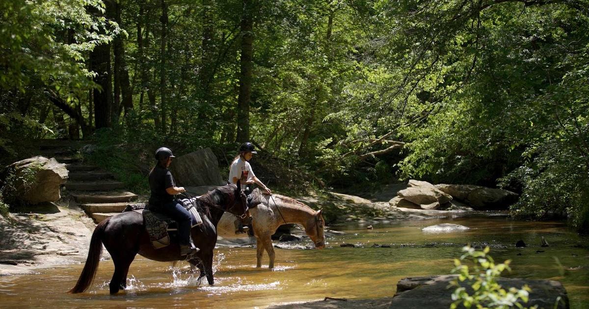 Ten to Try | Horseback Riding at Raven Rock State Park | WETA
